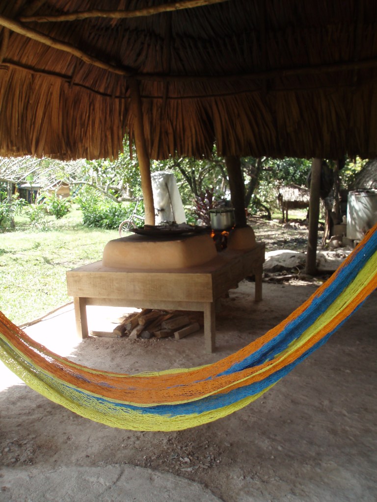 Traditional Native American Farmers Association (TNAFA) – From Garden ...