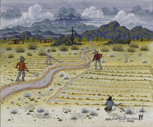 Tohono O’odham Community Action (TOCA), Sells AZ – From Garden Warriors ...