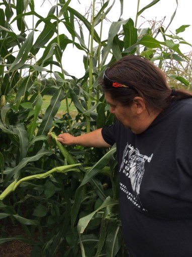 Tsyunhehkw^, Oneida Nation, Wisconsin – From Garden Warriors to Good ...