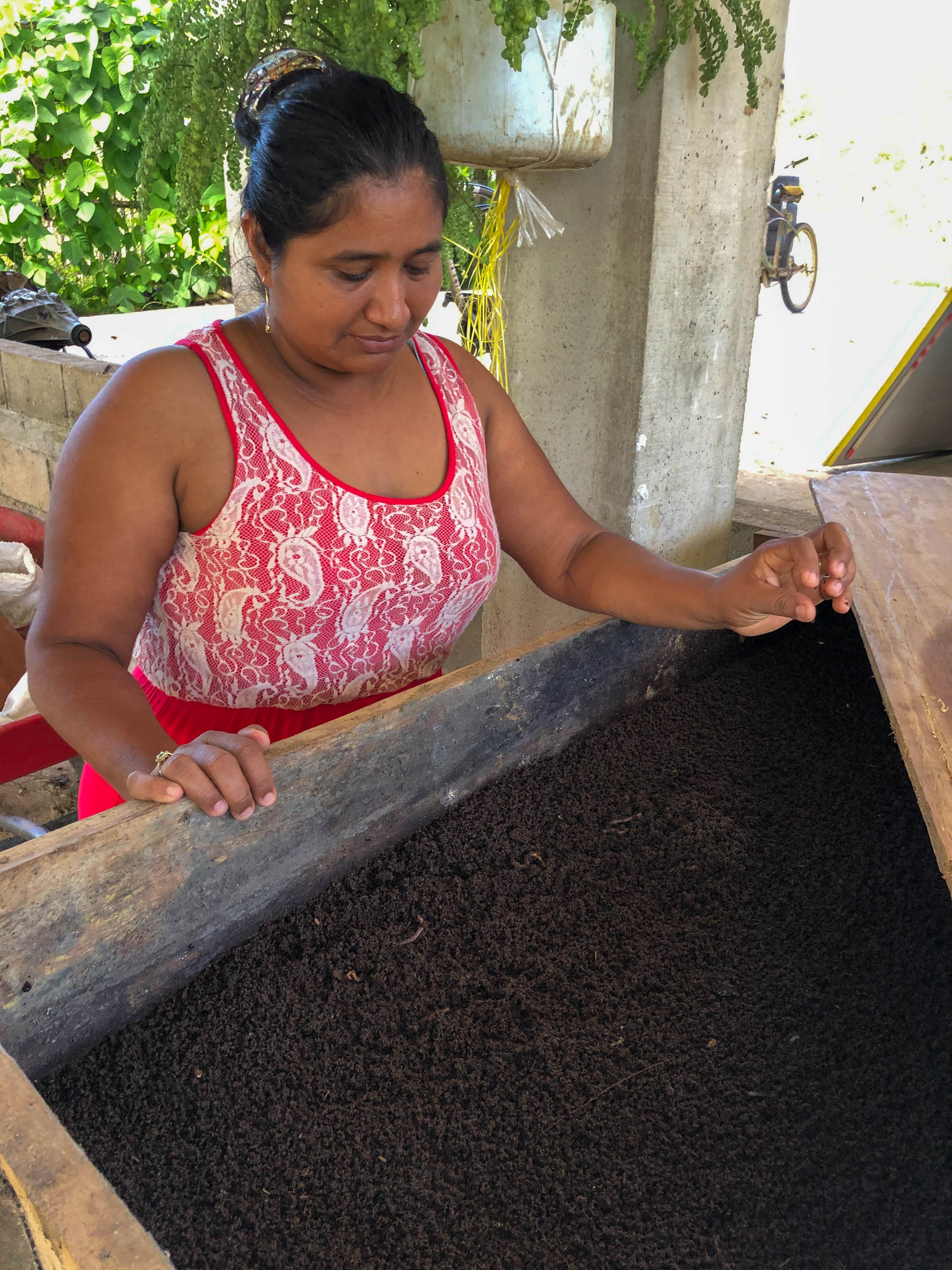 Traditional Native American Farmers Association Trip to Belize Part II ...