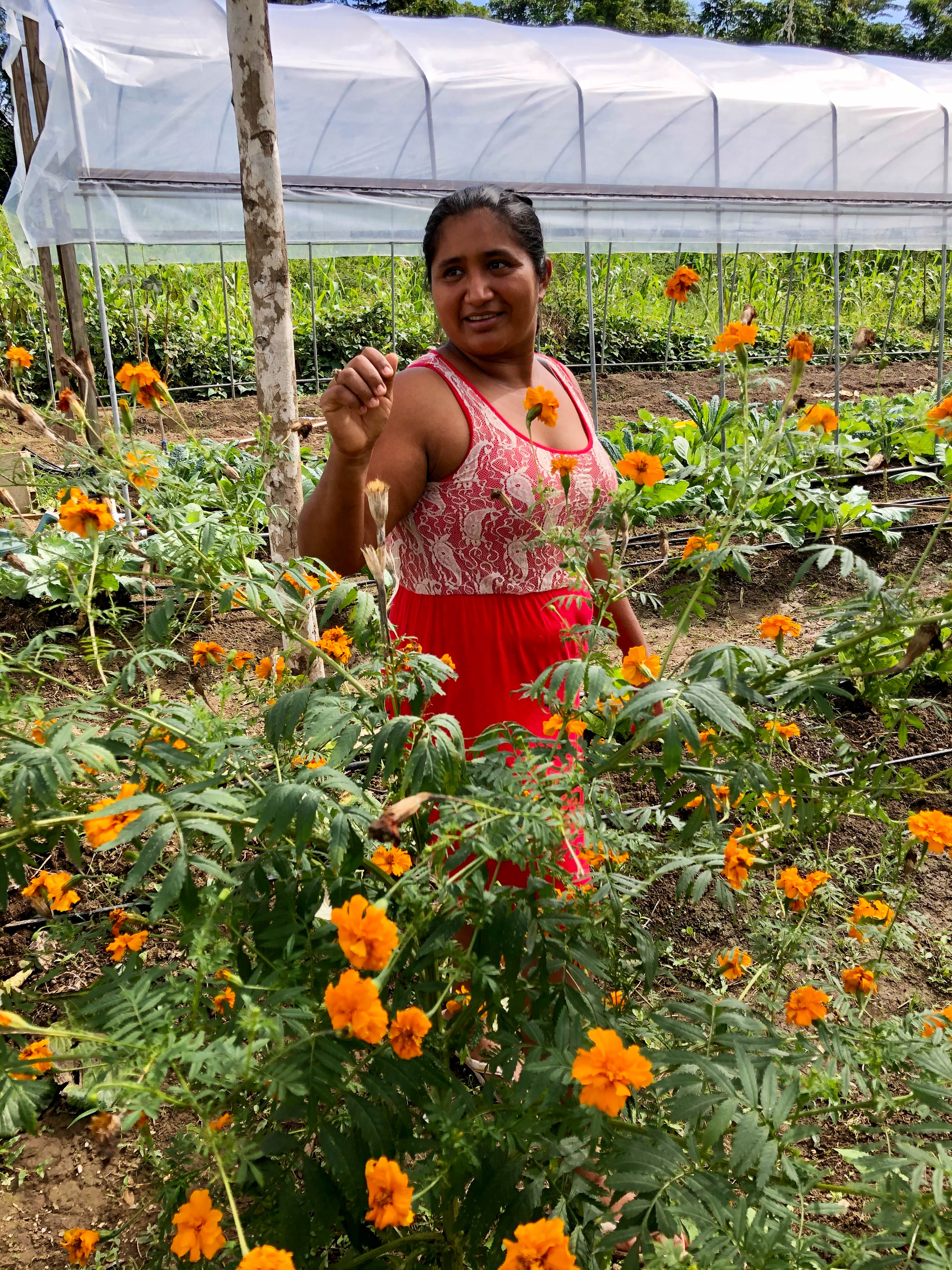 Traditional Native American Farmers Association Trip to Belize Part II ...